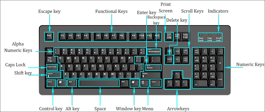 Basics of Hardware and Software » GyanXp